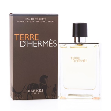 HERMES Hermes Terre Erkek Edt 100 ml 1356145 | Watsons